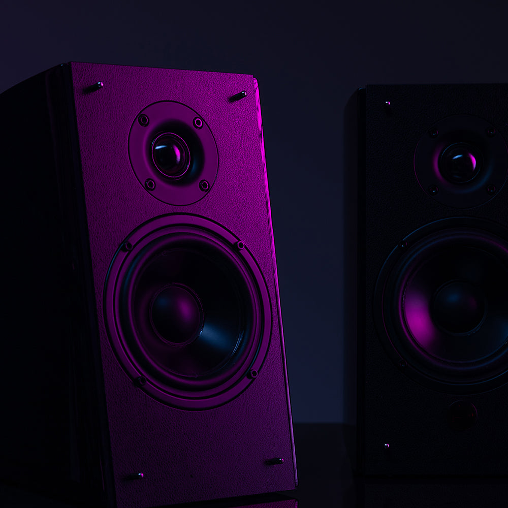 Speakers – Easy Electronics Co.